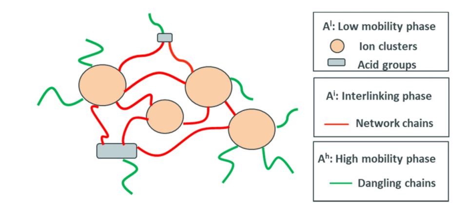 Empowering Intelligent Polymer Manufacturing: Low-Field Time-Domain NMR ...